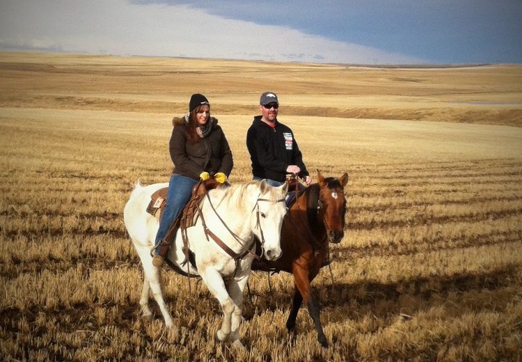 Owner At A Loss After Cow Shot West Of High River - CochraneNow ...