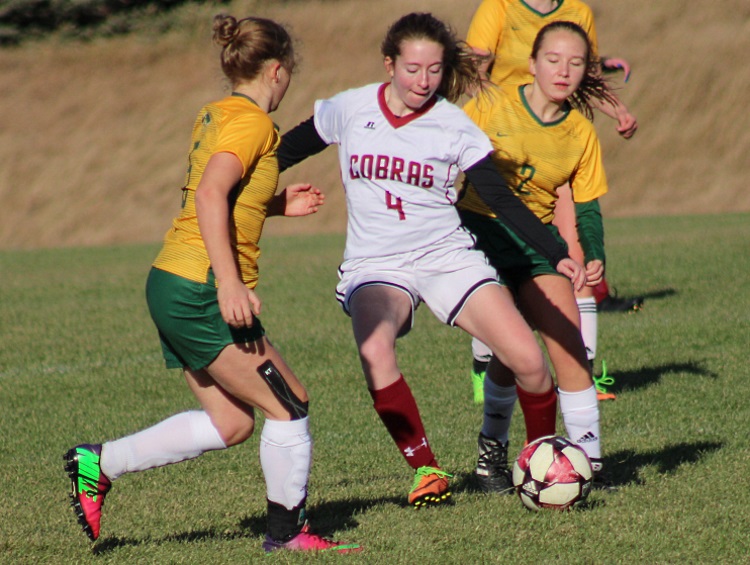 Cobras face Springbank in Saturday morning zone semifinal - CochraneNow ...