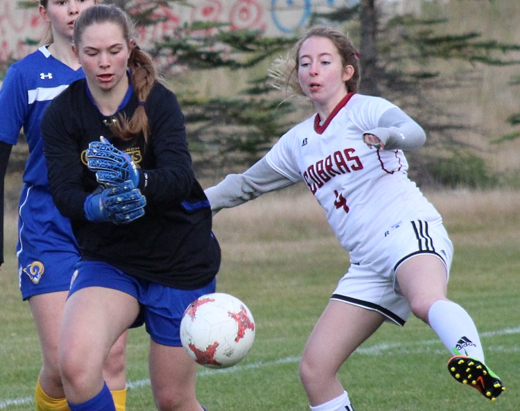 Battle of the Undefeated next Tuesday in Springbank - CochraneNow ...