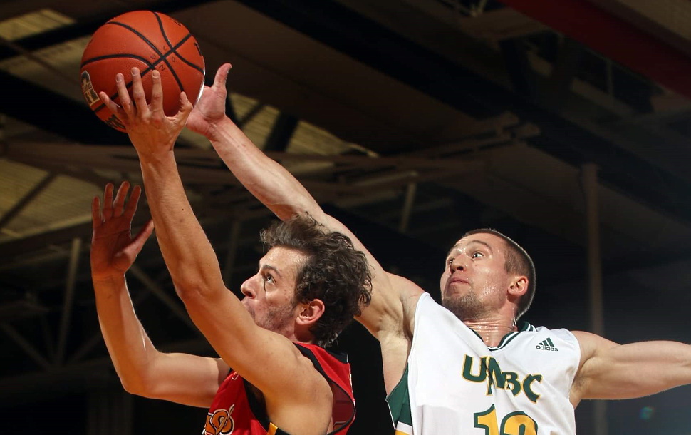 Dinos-Golden Bears series will decide who's Best in the West ...