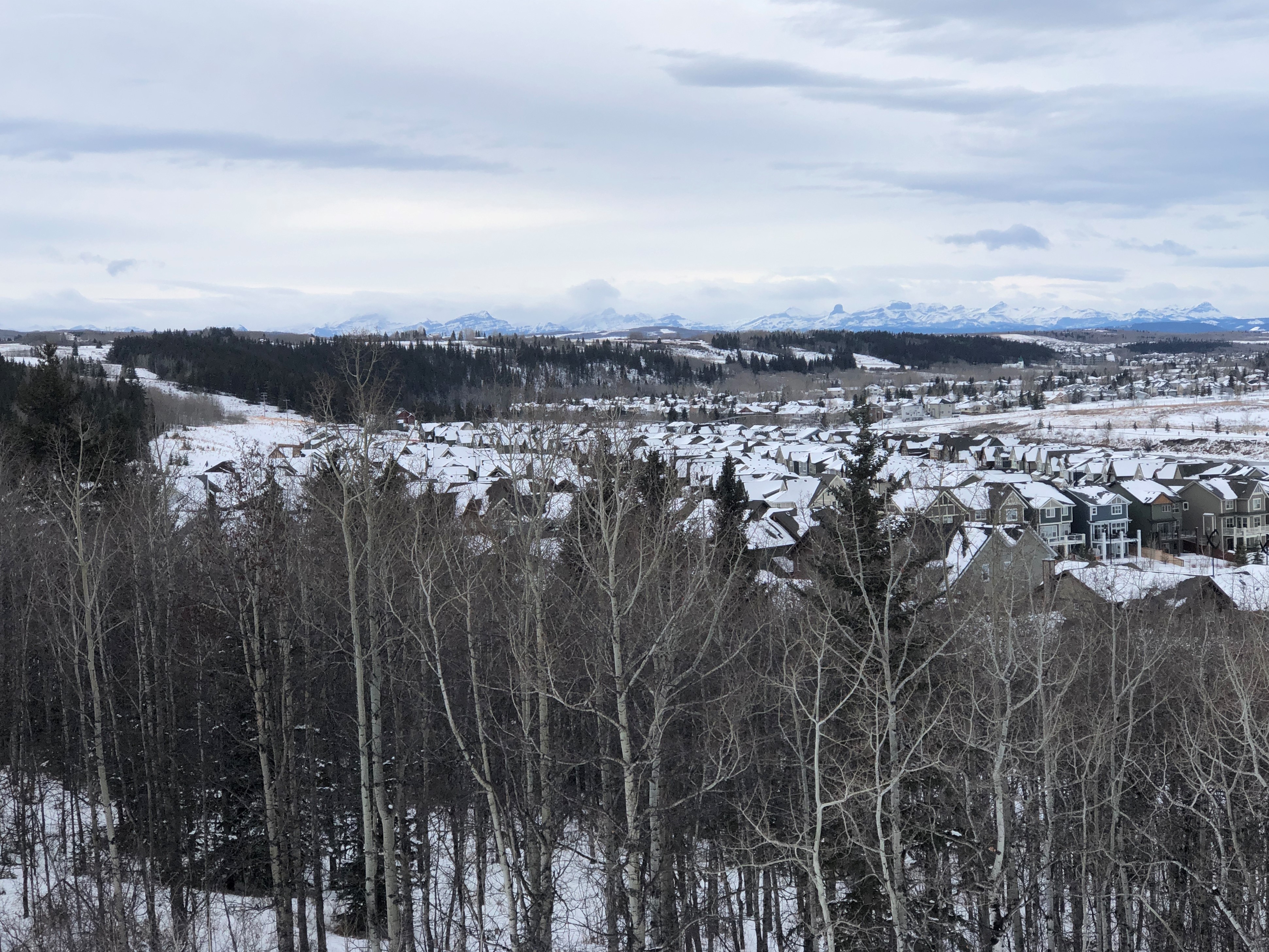 Cochrane's snowfall warning has ended - CochraneNow: Cochrane, Alberta ...