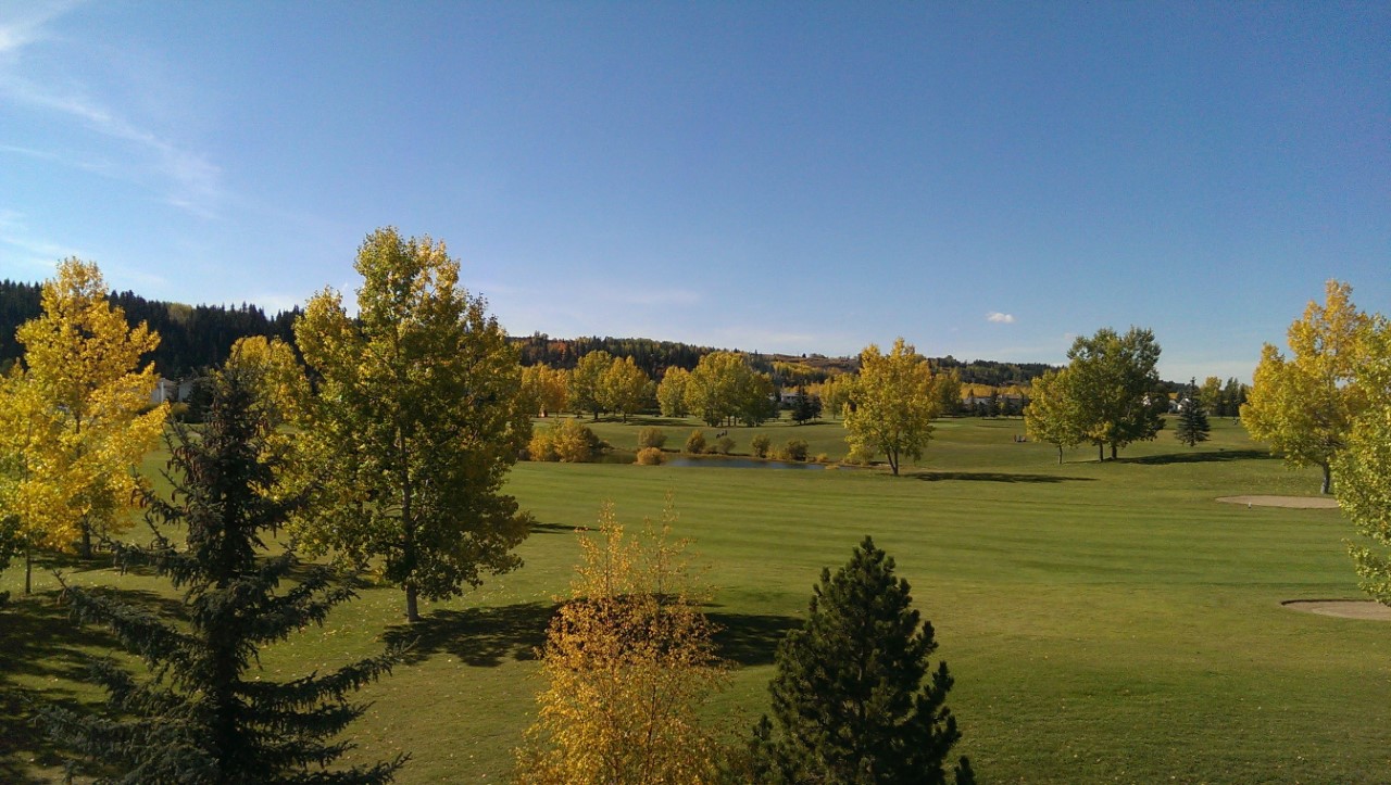 Fall foliage appreciated and explained - CochraneNow: Cochrane, Alberta ...