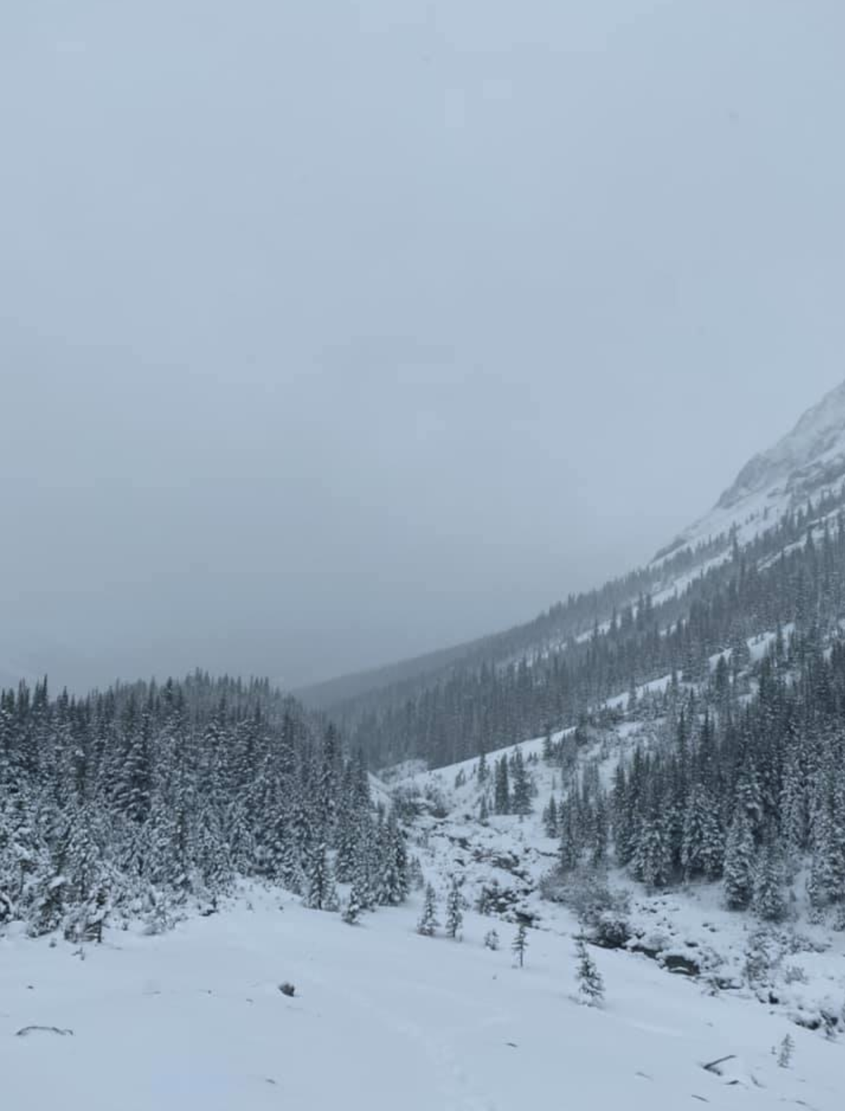 Say it ain't snow - CochraneNow: Cochrane, Alberta's latest news ...