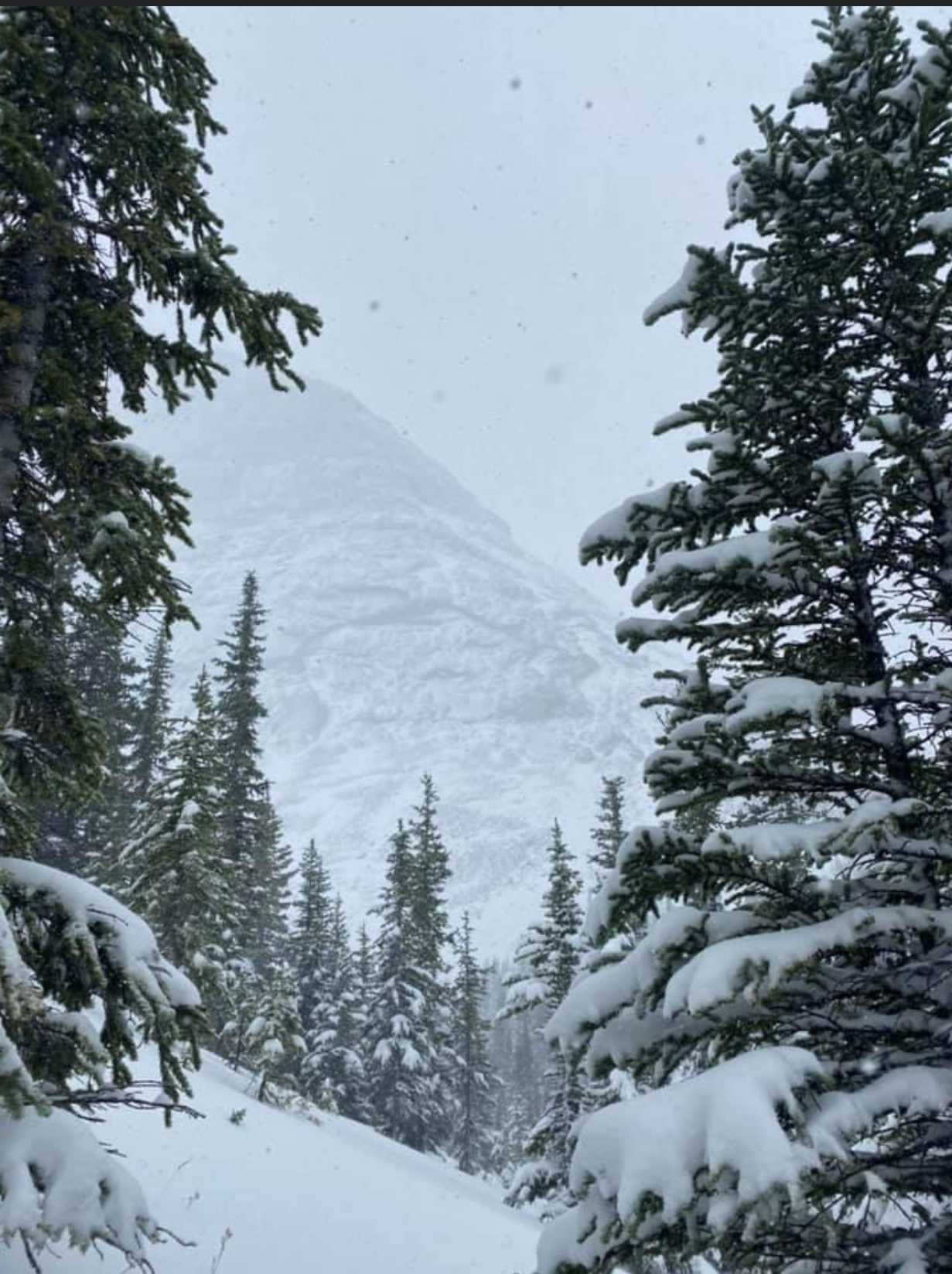 Say it ain't snow - CochraneNow: Cochrane, Alberta's latest news ...