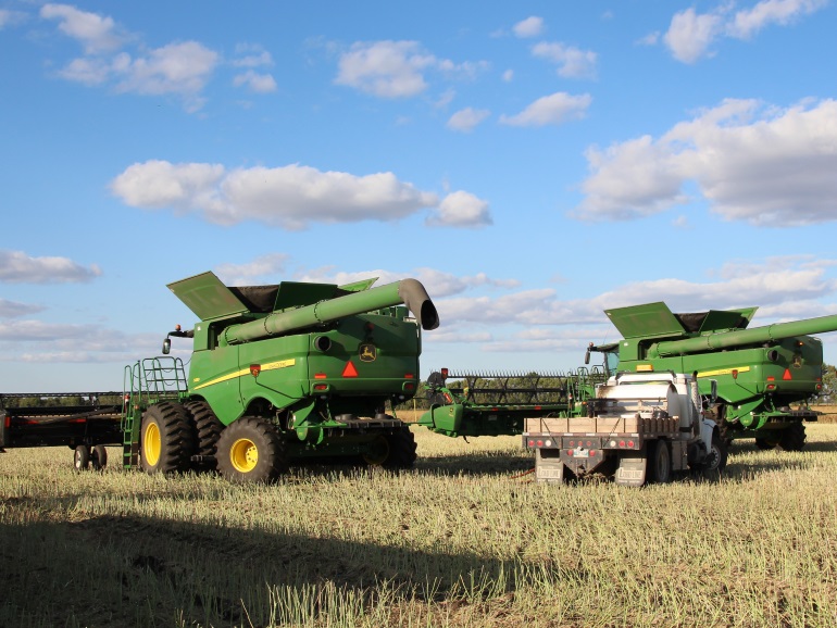 Alberta Agriculture releases final crop report of the season ...