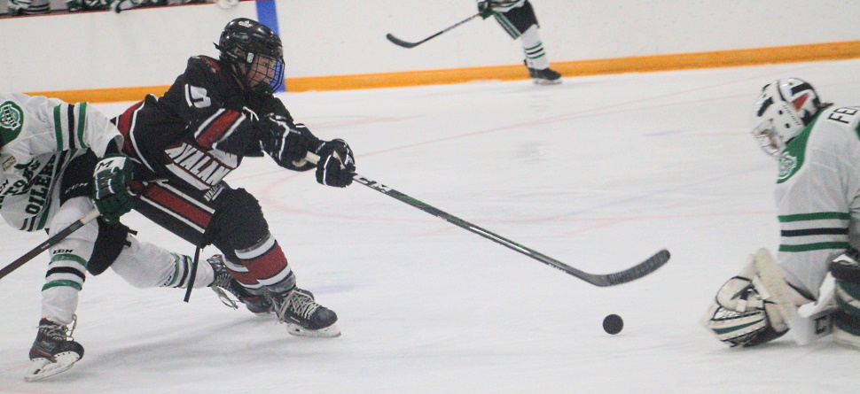 Avs kick off regular season with two wins - CochraneNow: Cochrane ...