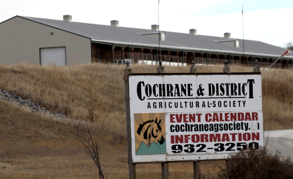 Top things to do this weekend in Cochrane - CochraneNow: Cochrane ...