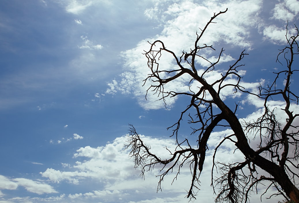 Verse of the day: Jan. 6, 2021 - CHVNRadio: Southern Manitoba's hub for ...