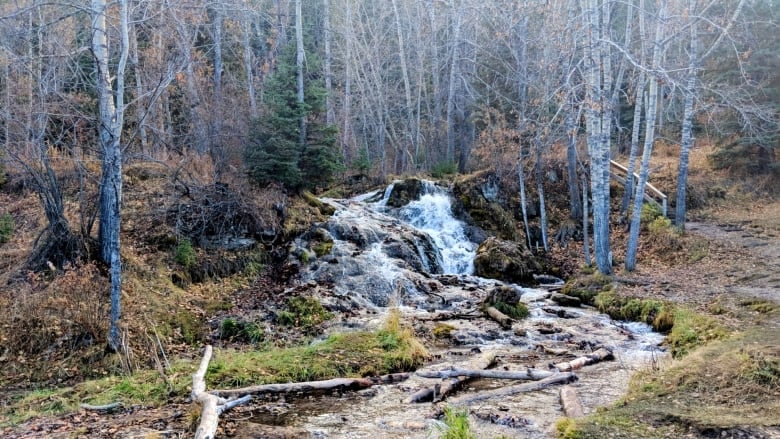 Lengthy list of opponents to proposed gravel pit - CochraneNow ...