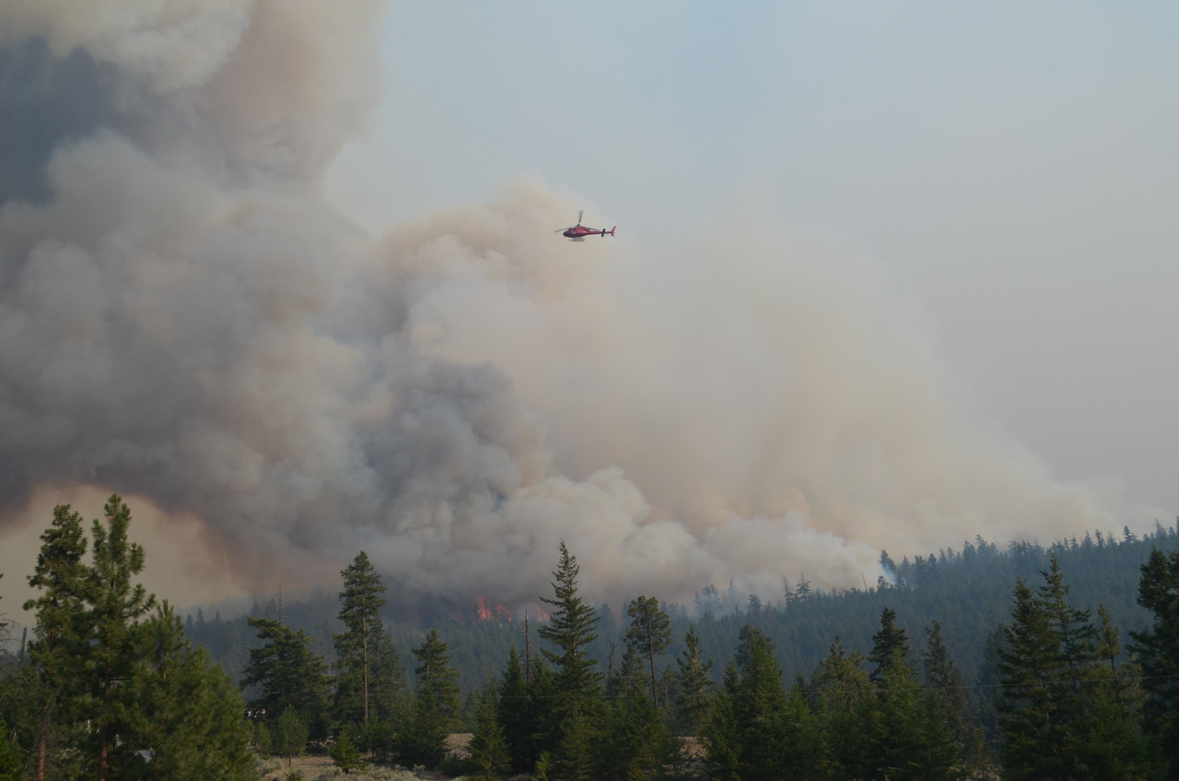 Here are some stats from this years wildfire season in Alberta ...