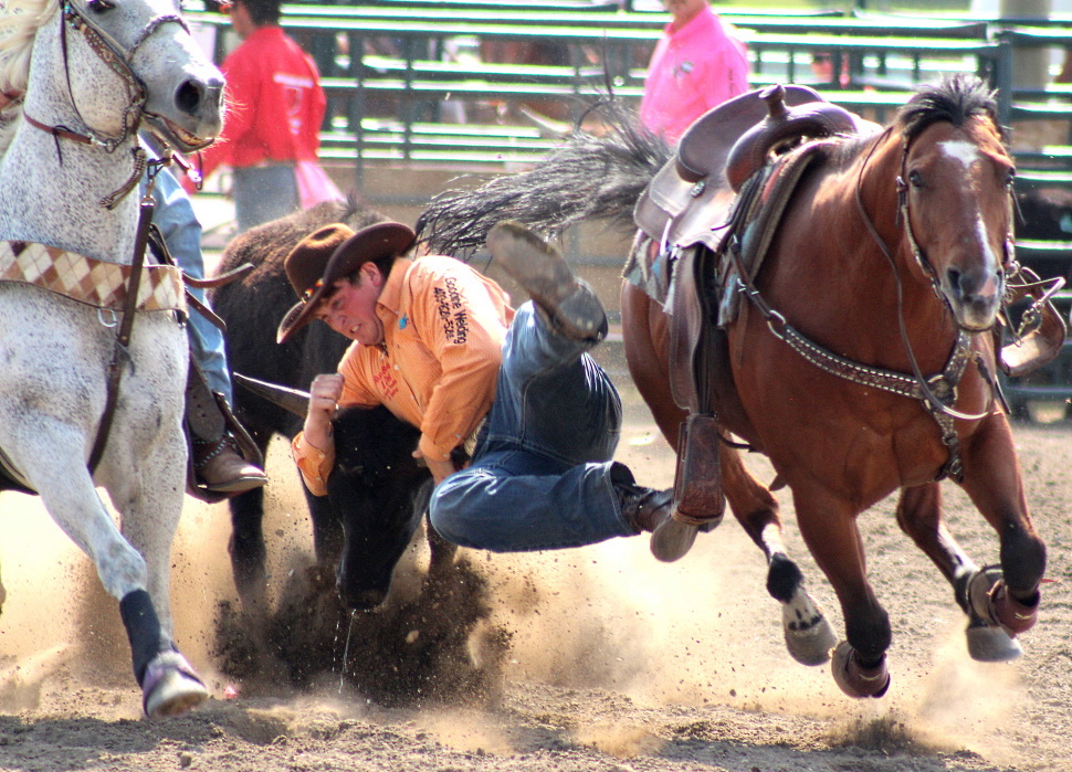 Labour Day Weekend Rodeo rebooting our Western Spirit - CochraneNow ...