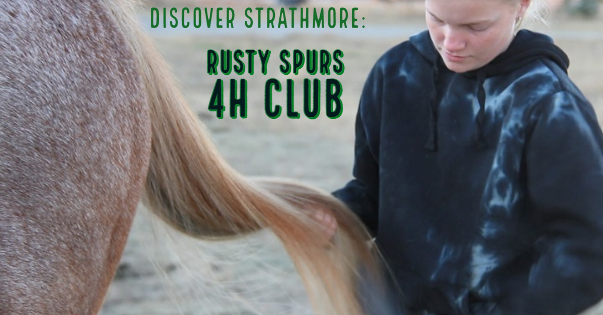WATCH: Discover Strathmore | Getting To Know Rusty Spurs 4H Club ...