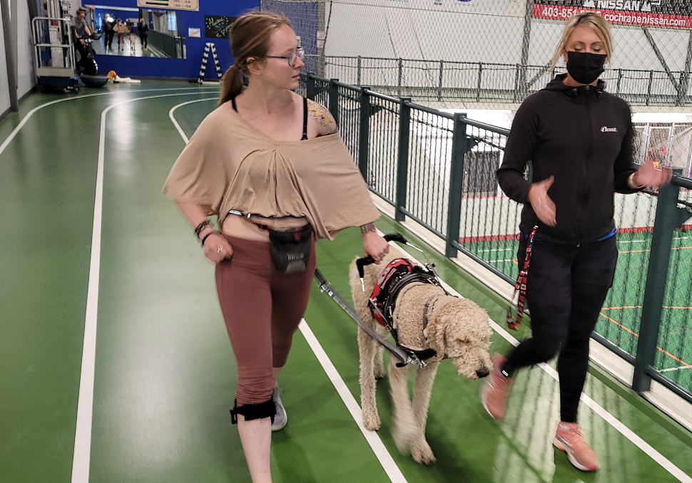 WATCH: Amanda Burt displays the depth of the human spirit - CochraneNow ...