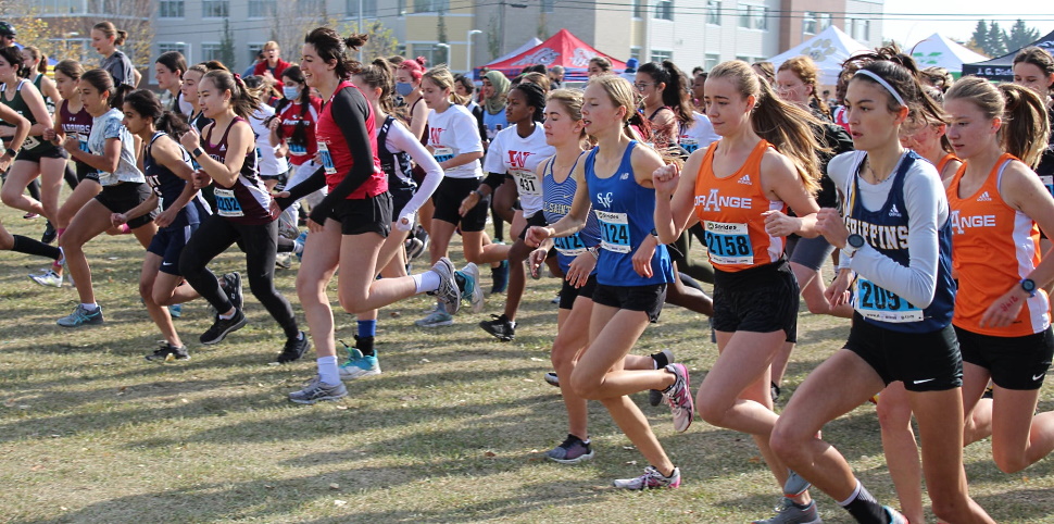Cross-country runners advance to Provincials - CochraneNow: Cochrane ...