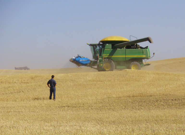 Slow start to harvest around west-central - WestCentralOnline: West ...
