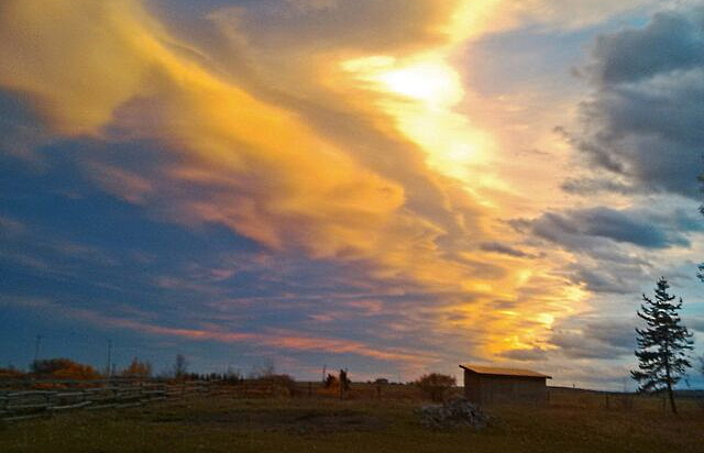 Rocky View Forward endorses candidates in each division - CochraneNow ...