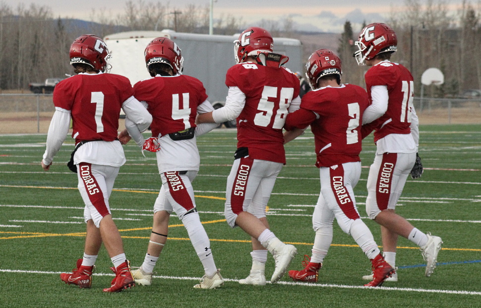 WATCH: Landslide win for Cobras, Vikings here for South Final on ...