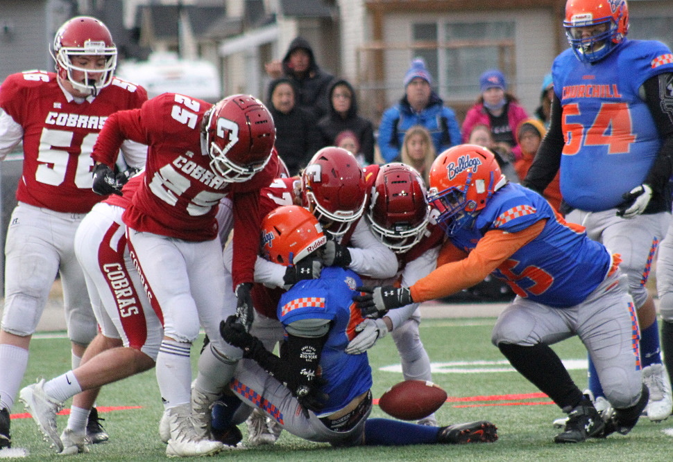WATCH: Landslide win for Cobras, Vikings here for South Final on ...