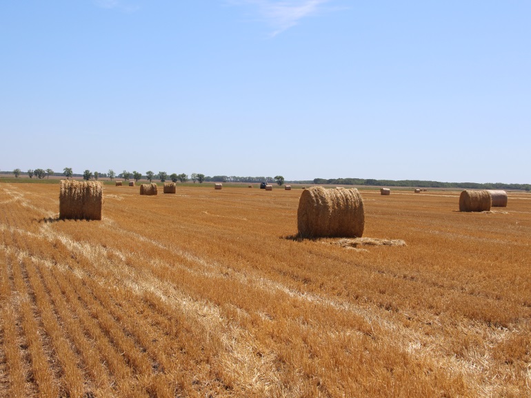 Hay Continues To Move West - DiscoverWestman.com - Local news, Weather ...