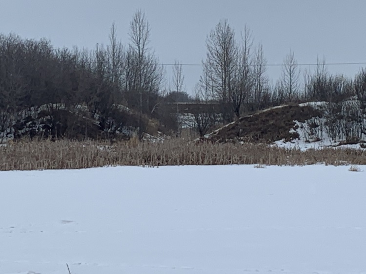 Water Security Agency Offering Free Workshops - WestCentralOnline: West ...