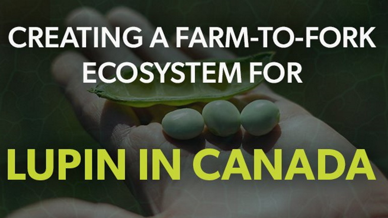 New Partnership To Develop Farm-To-Fork Ecosystem For Lupin ...