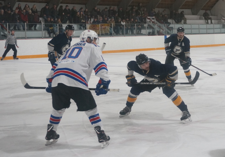 The Tiger Hills Hockey League Report - Mark Agnew - DiscoverWestman.com ...