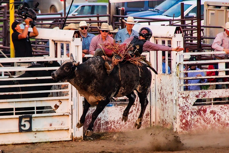 Rodeo Returns To Rockyford - StrathmoreNow.com - Local news, Weather ...