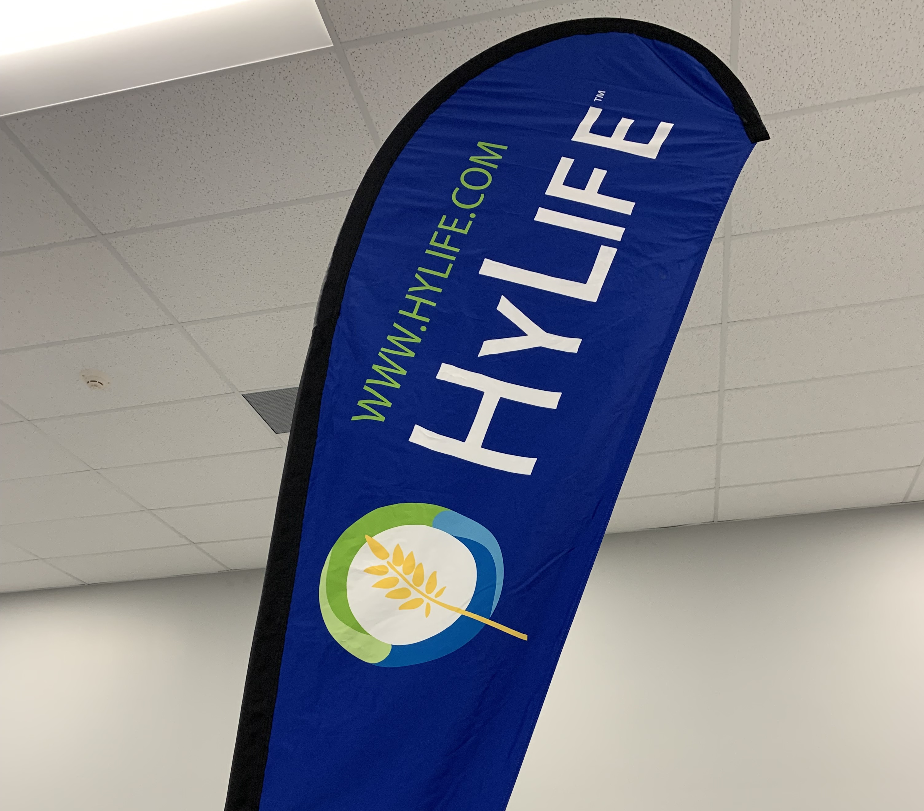 HyLife Looking To Build Northeast of Killarney - DiscoverWestman.com ...