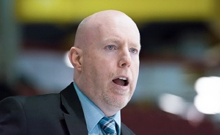 Mr. 500: Bruins Coach Tatarnic Reflects on Reaching Major Milestone ...