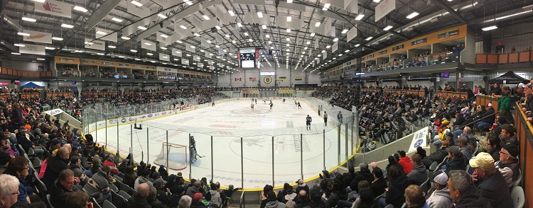 'We're back and we're excited': Estevan Bruins hope to benefit from ...