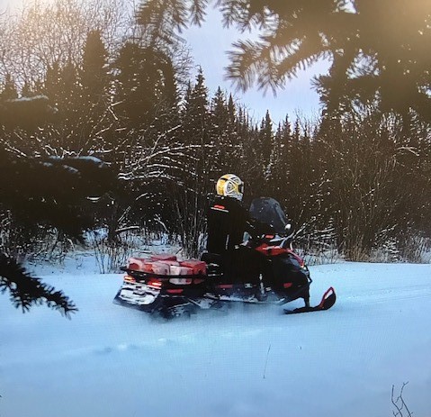 Police seeking suspects following theft of 30 trail cameras ...