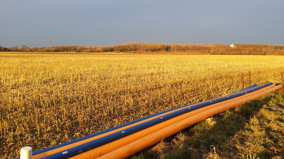 October proclaimed Agriculture Month in Saskatchewan ...