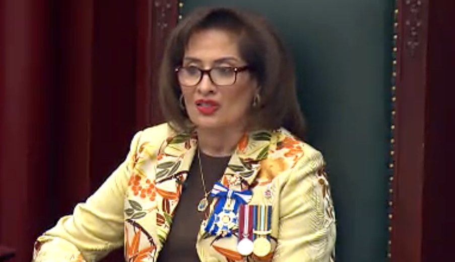 Rebounding economy, health care and less red tape focus of throne ...