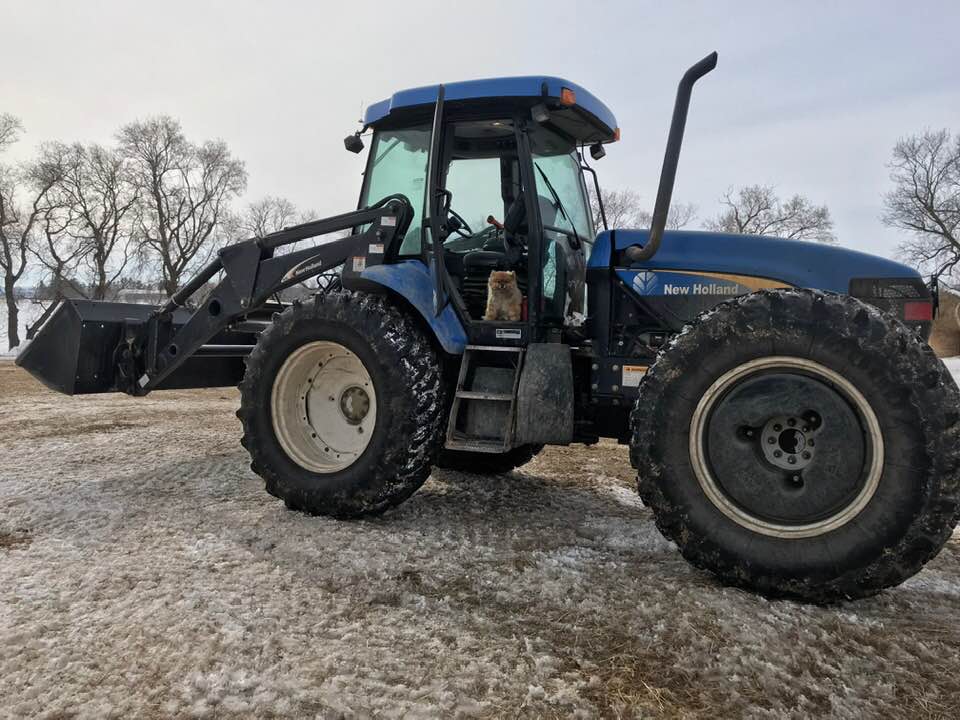 Agriculture producers encouraged to focus on farm safety ...