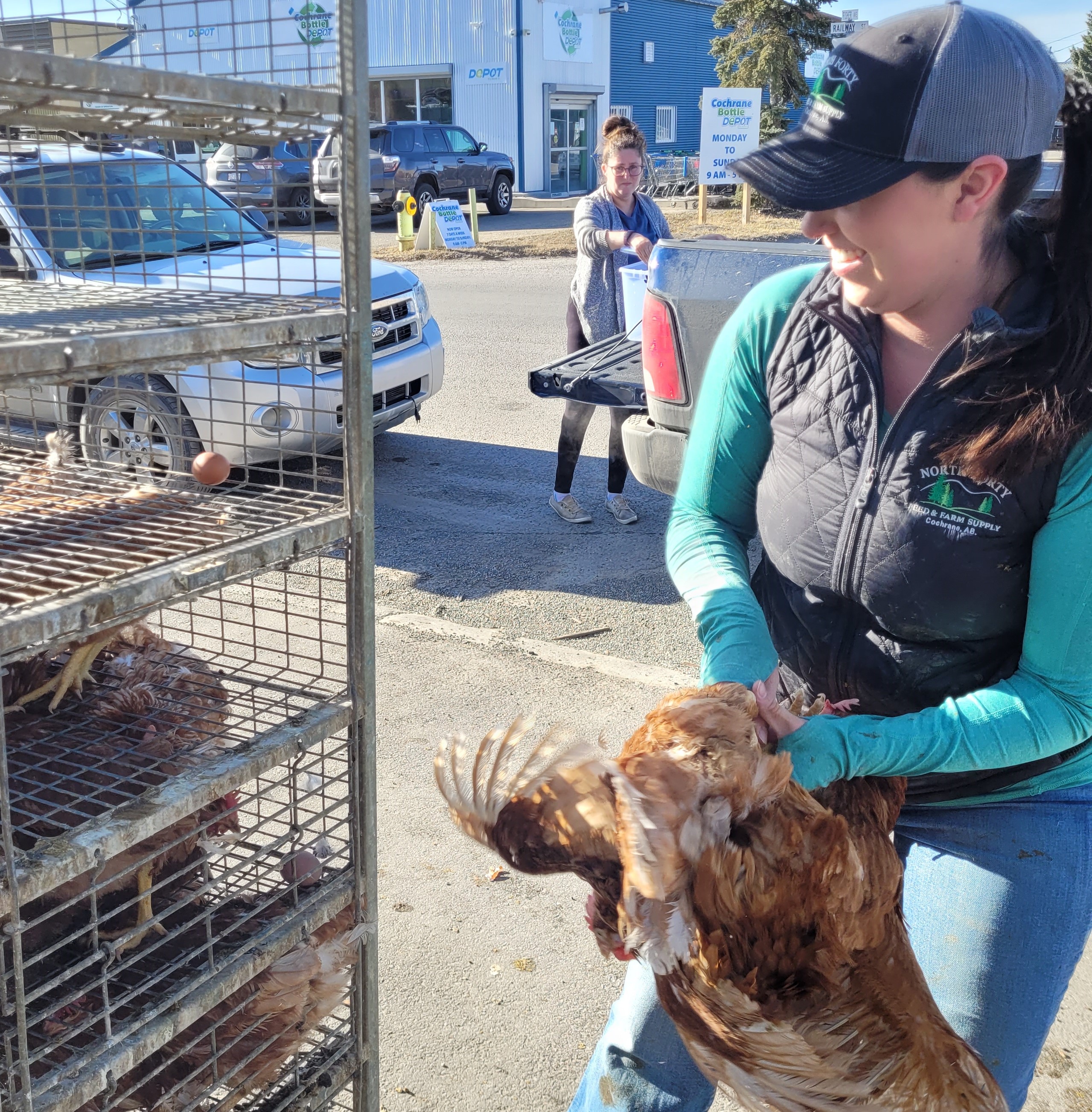 Hundreds flock to Cochrane for chicken day - CochraneNow: Cochrane ...