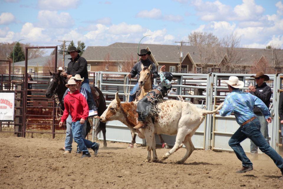 Scenes from Day 2 of the High School Rodeo - DiscoverWeyburn.com ...