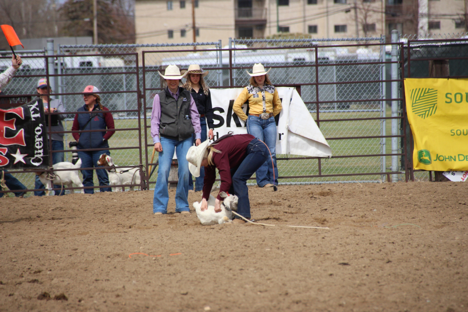 High school rodeo season gets underway - DiscoverWeyburn.com - Local ...