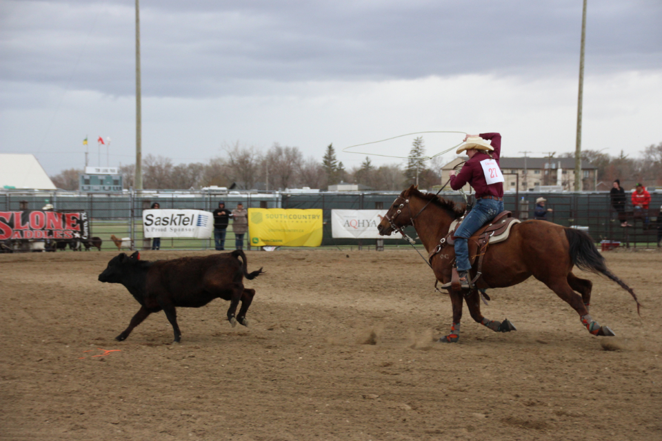 High school rodeo season gets underway - DiscoverWeyburn.com - Local ...