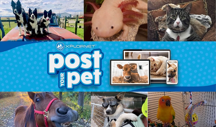 And the winner of 'Post Your Pet with Xplornet' is... - OkotoksOnline ...