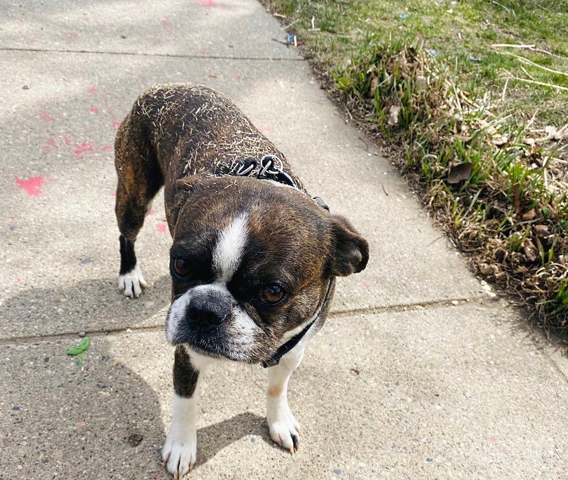 Environment Canada says spring is here - DiscoverWeyburn.com - Local ...