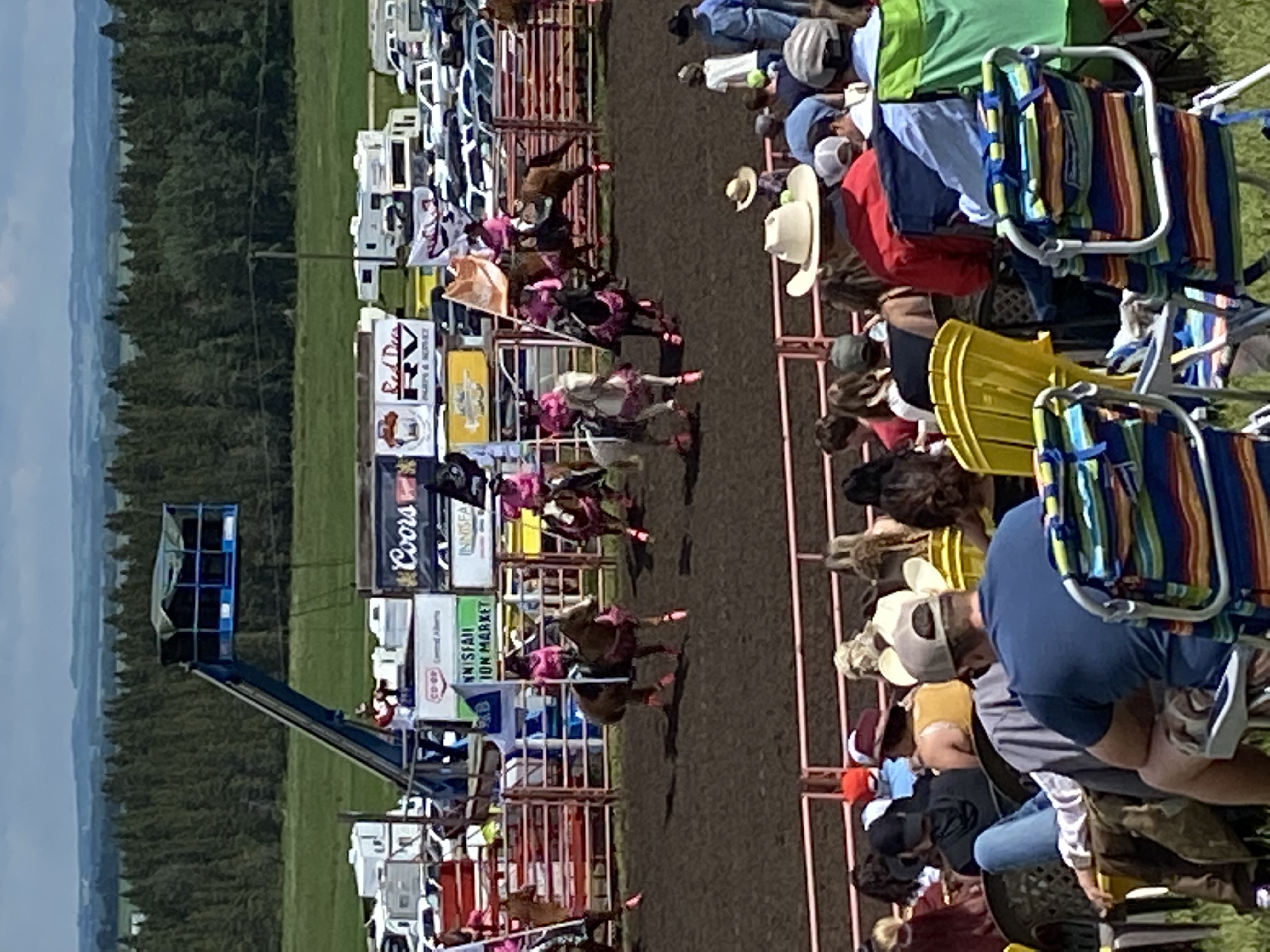 Innisfail hosts 61st Daines Ranch Pro Rodeo over the weekend ...