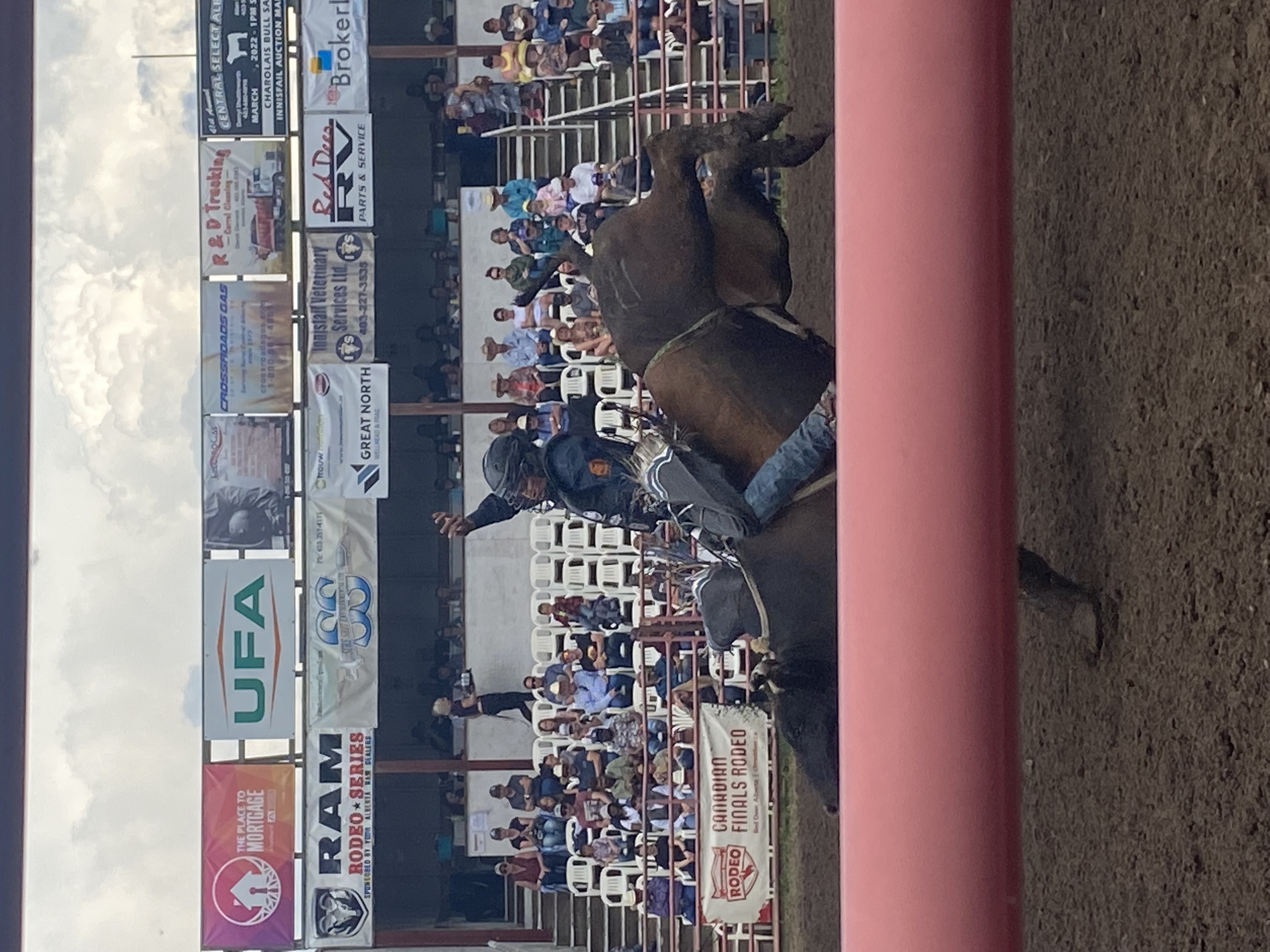 Innisfail hosts 61st Daines Ranch Pro Rodeo over the weekend ...