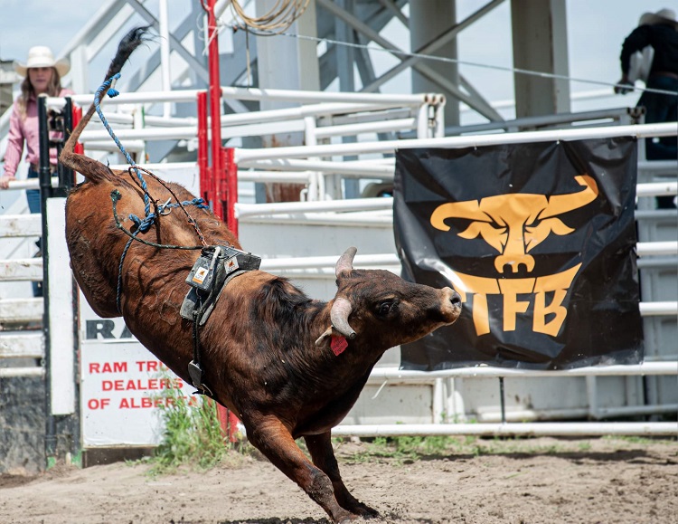 TFB Ranch are looking to make a unique event annual - StrathmoreNow.com ...