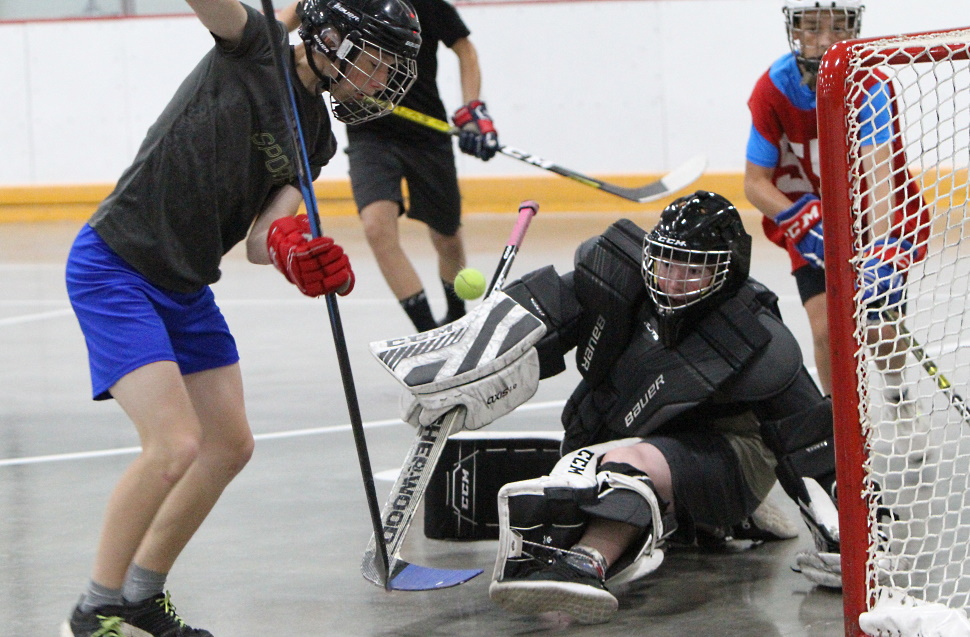 Ball hockey tournament raises $1,400 and gathers plenty of food ...