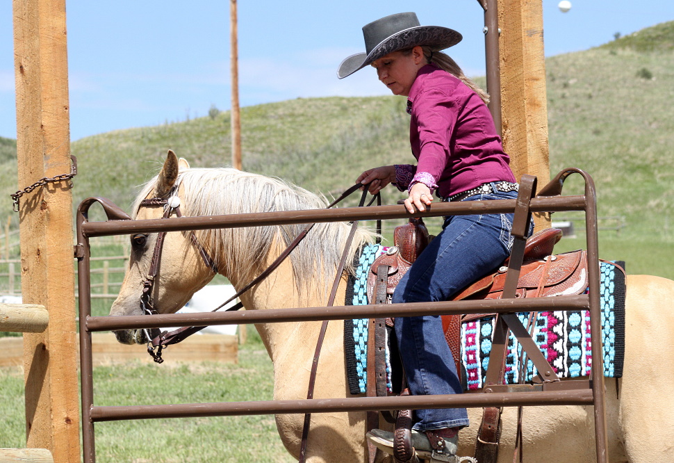 Extreme Cowboy returns to the outdoor course this weekend - CochraneNow ...