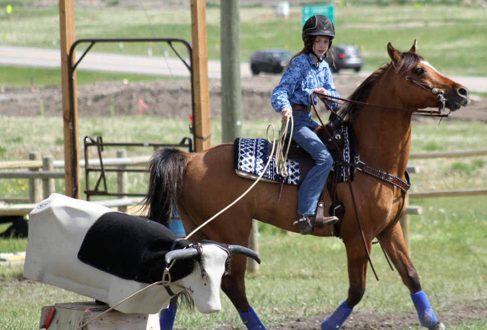 GALLERY: Extreme Cowboy kicks off outdoor season - CochraneNow ...