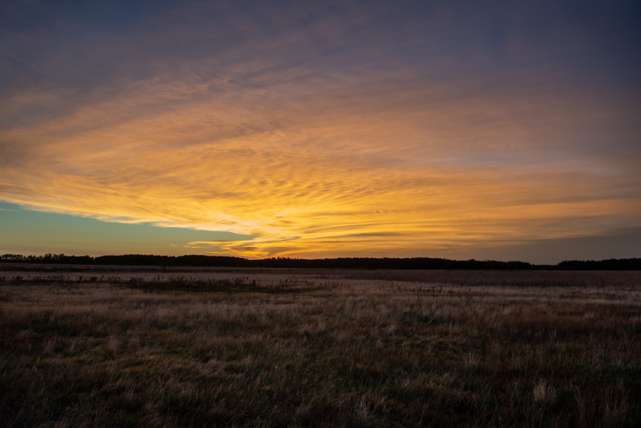 Nature Conservancy of Canada partnering up to help preserve prairie ...