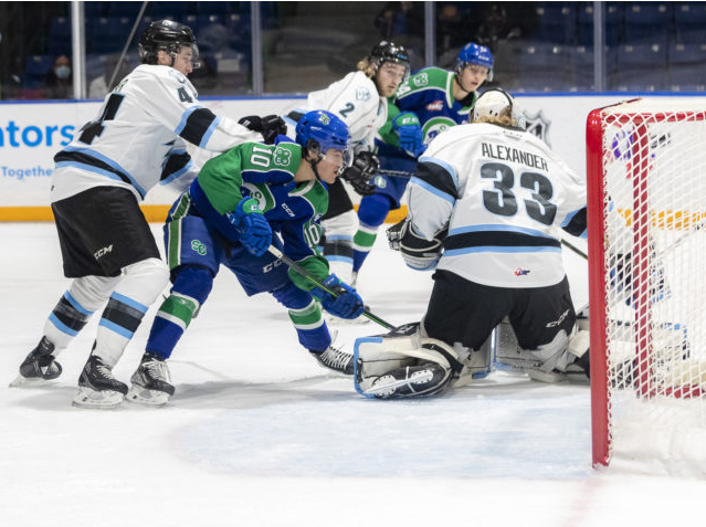 Broncos acquire Gage Alexander from ICE - SwiftCurrentOnline.com ...