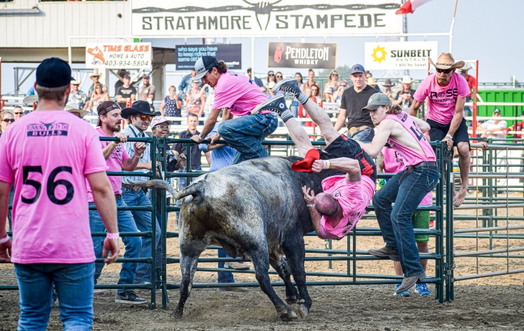 10 things to do at the Strathmore Stampede - StrathmoreNow.com - Local ...