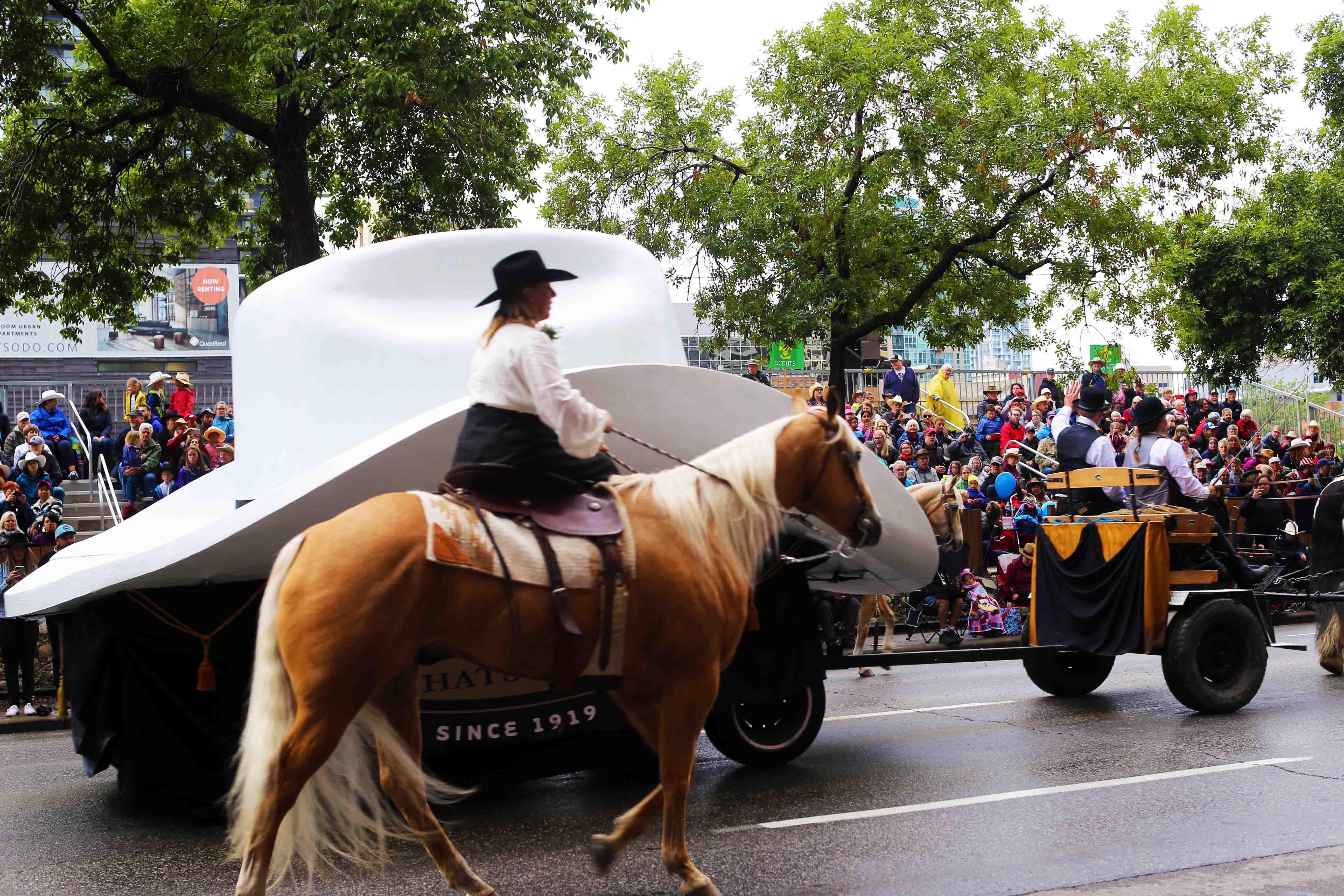 Navigating the Calgary Stampede - DiscoverAirdrie.com - Local News ...